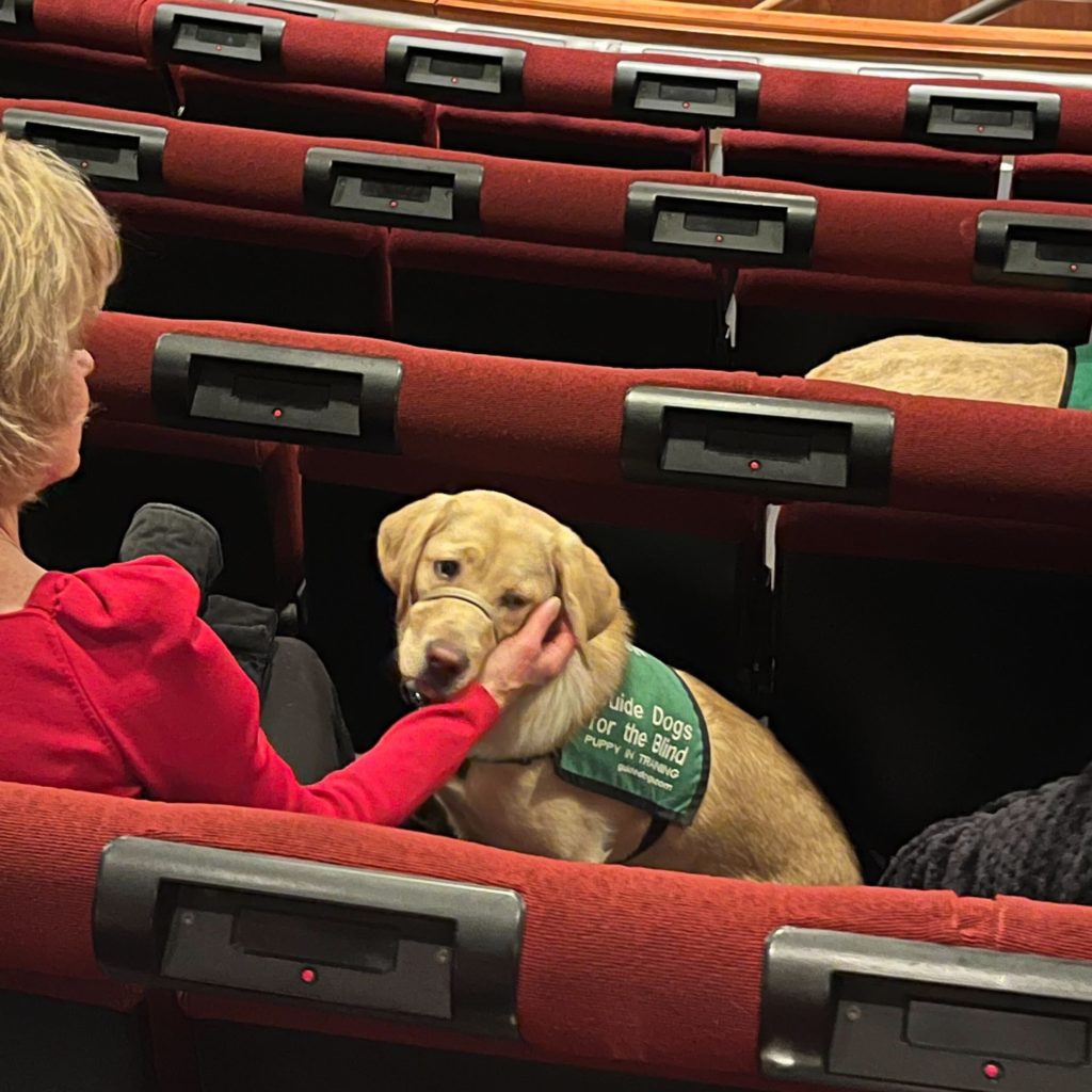 Guide Dogs In Training at the Opera - Opera Colorado