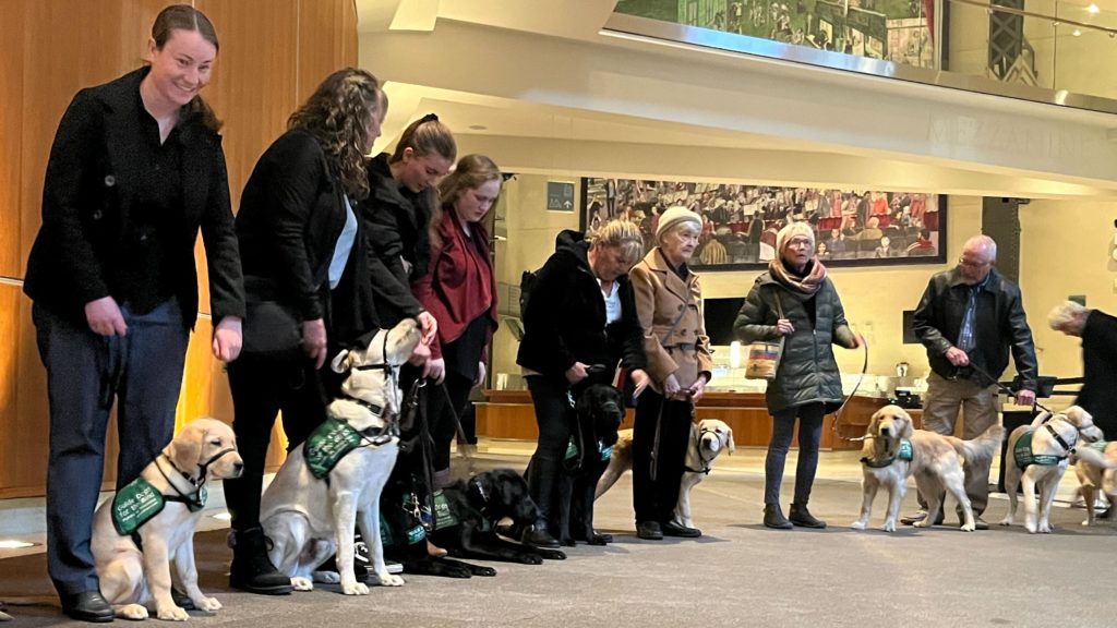 Guide Dogs In Training at the Opera - Opera Colorado